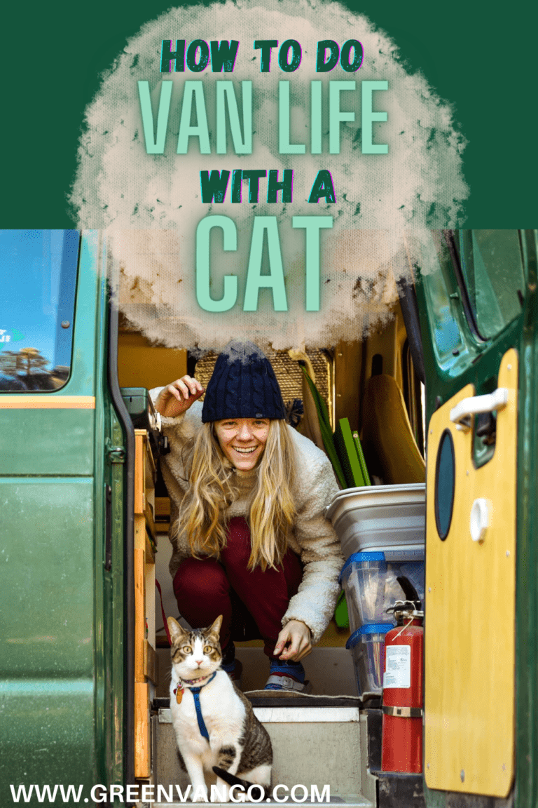 Van Life with a Cat: My Own Experience | Outdoorsy Nomad