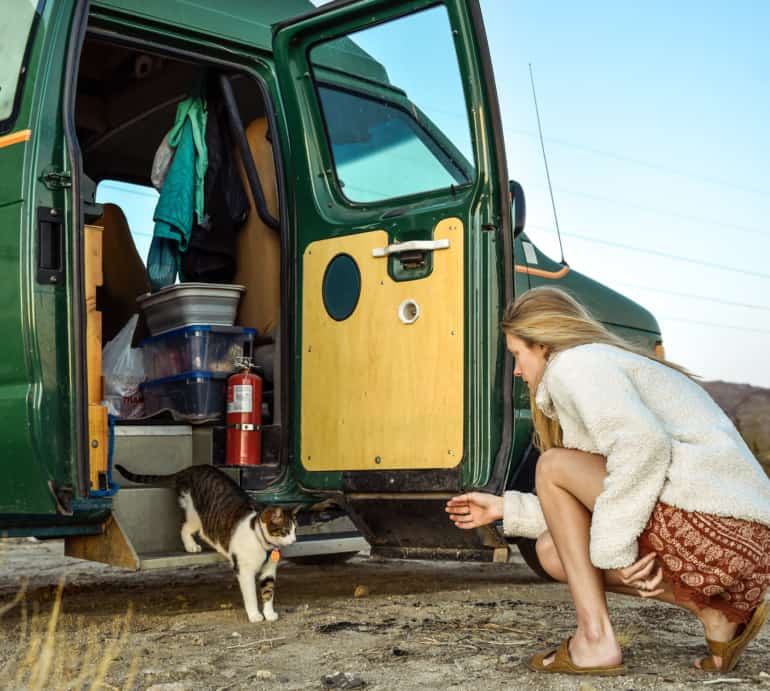 Van Life with a Cat: My Own Experience | Outdoorsy Nomad