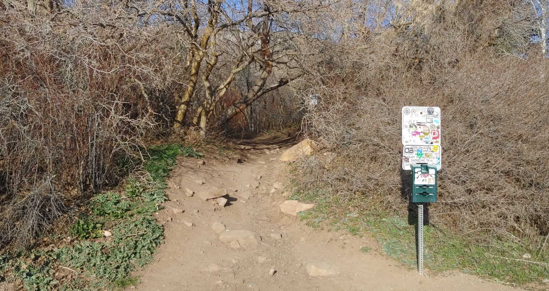 Mt Wire Loop Hike Via Living Room Trail | Outdoorsy Nomad