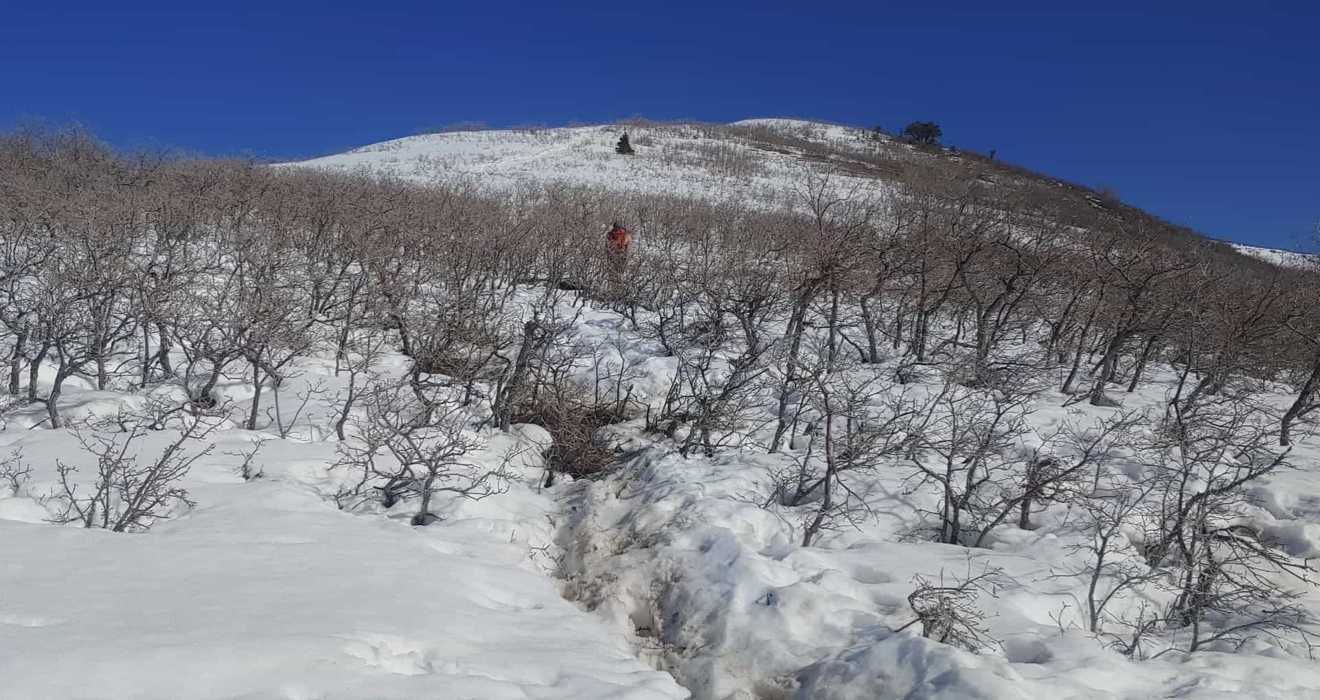 Mt Wire Loop Hike Via Living Room Trail | Outdoorsy Nomad