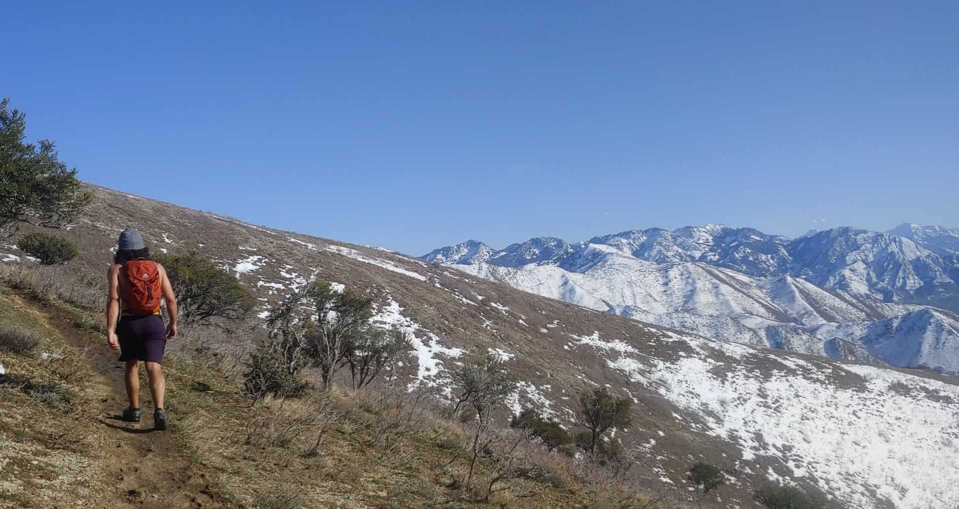 Mt Wire Loop Hike Via Living Room Trail | Outdoorsy Nomad