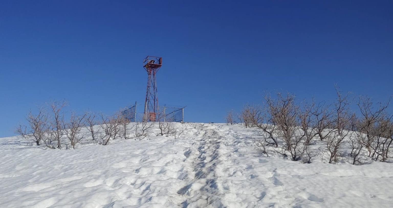 Mt Wire Loop Hike Via Living Room Trail | Outdoorsy Nomad