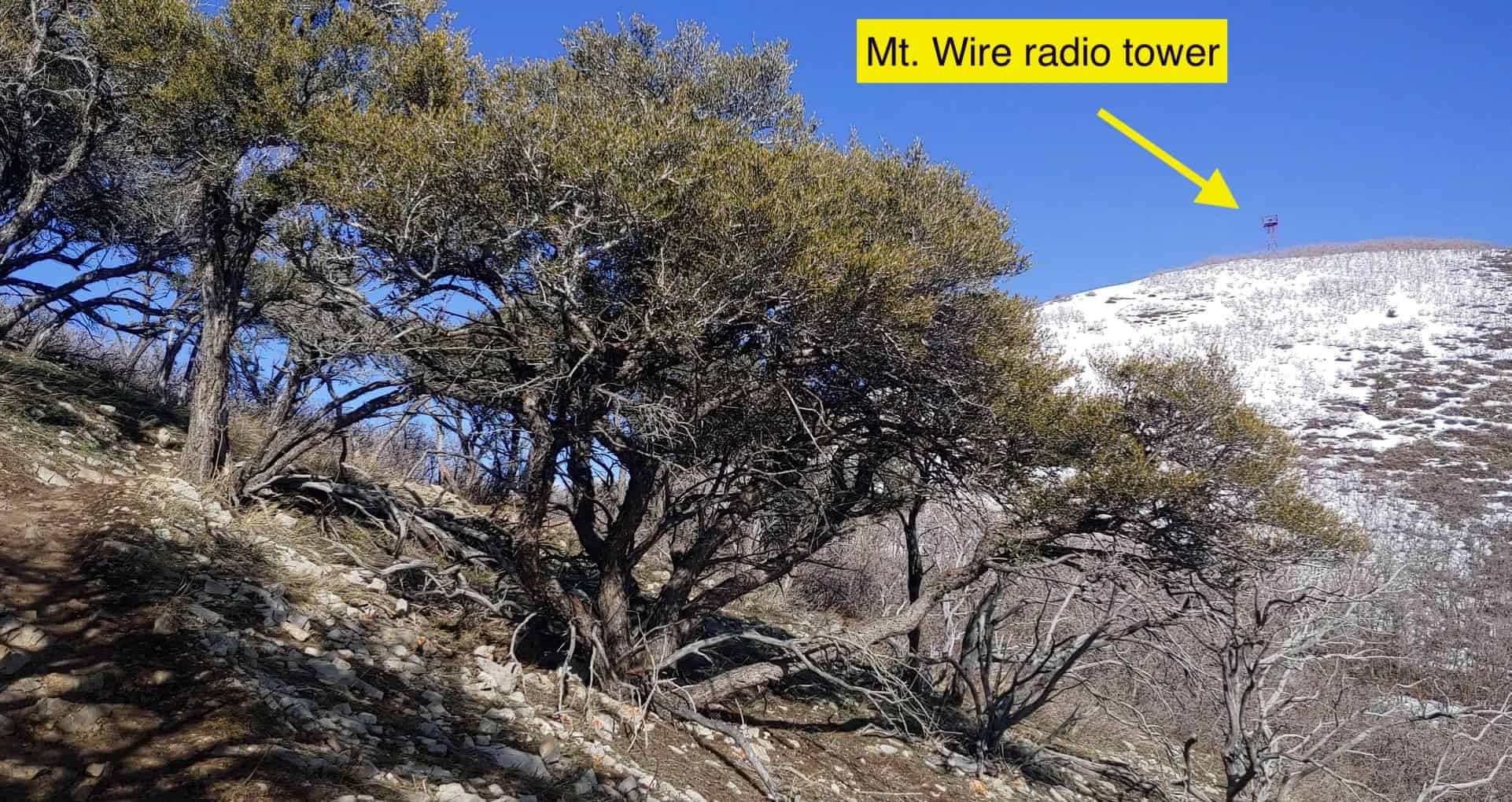 Mt Wire Loop Hike Via Living Room Trail | Outdoorsy Nomad