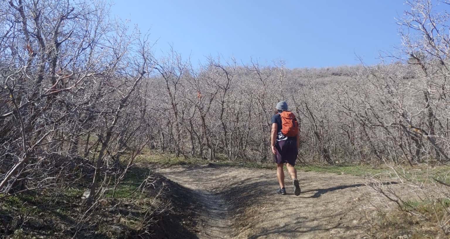 Mt Wire Loop Hike Via Living Room Trail | Outdoorsy Nomad