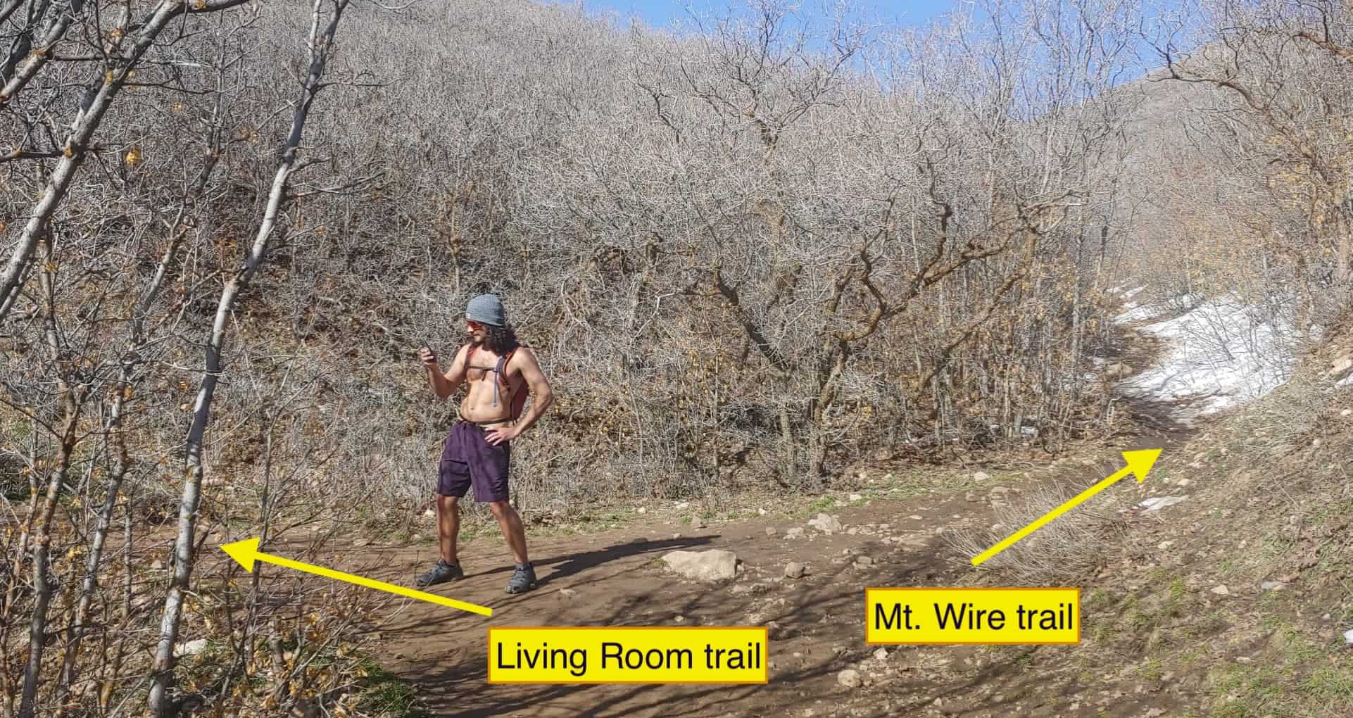 Mt Wire Loop Hike Via Living Room Trail | Outdoorsy Nomad