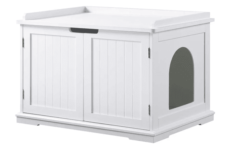 Van Life with a Cat: My Own Experience | Outdoorsy Nomad