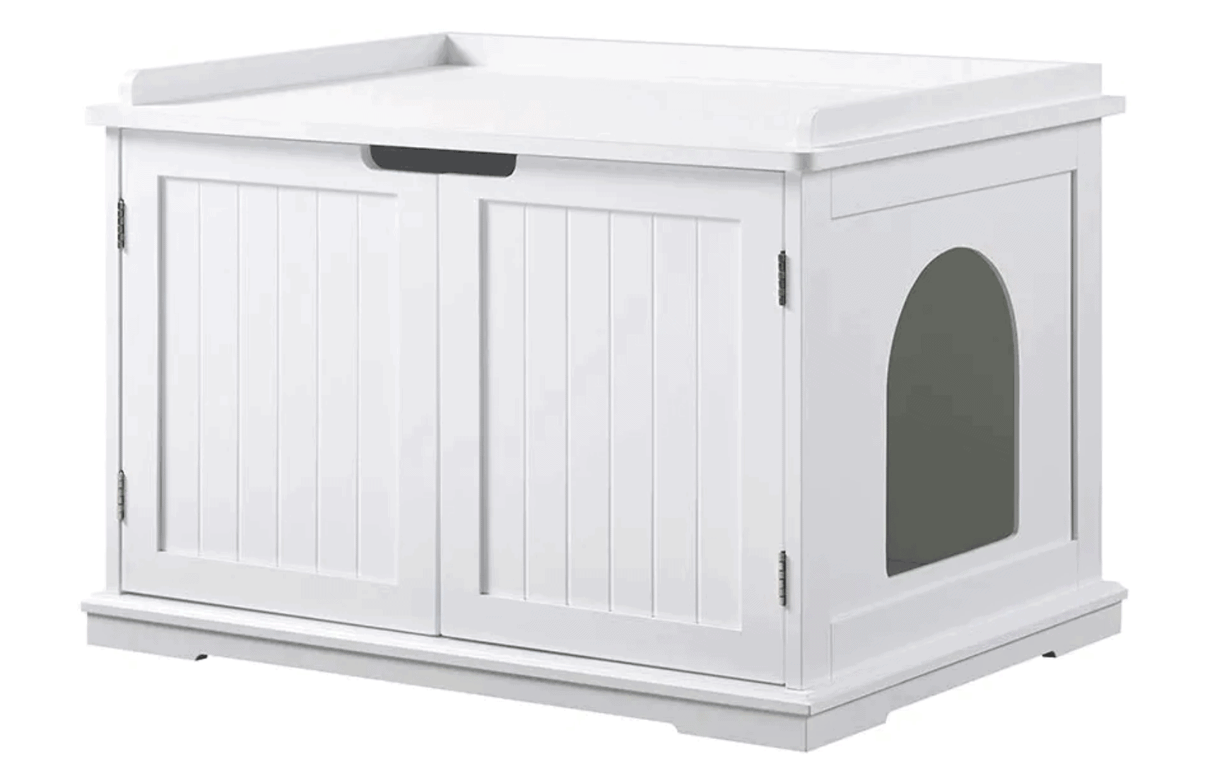 Van Life with a Cat: My Own Experience | Outdoorsy Nomad