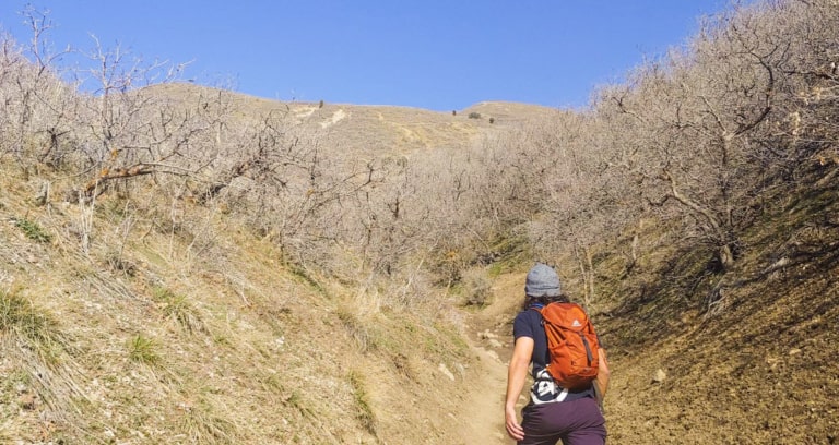 Best Hiking Day Pack: Gregory Nano 22 H2O Hydro Pack Review