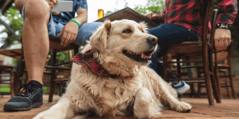 75+ Places with Free Wifi (And How to Safely Connect)