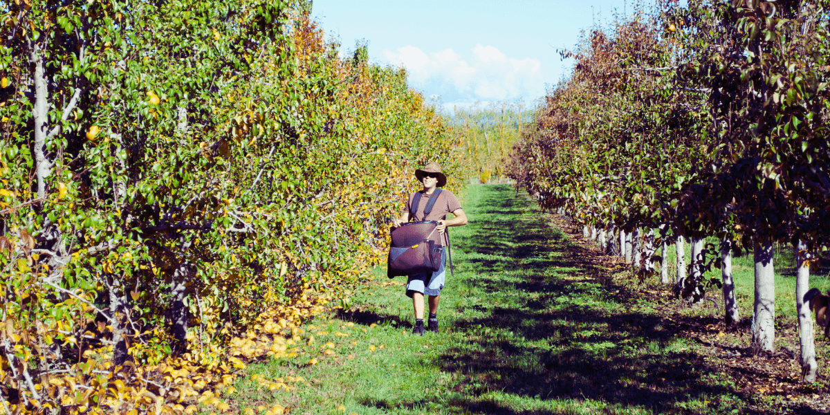 11 Summer Seasonal Jobs Ideal for Road Travelers